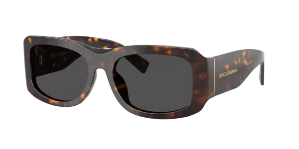 Dolce & Gabbana Sunglass Dg4503 - Dark Grey