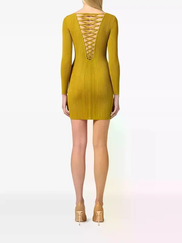 Elisabetta Franchi Lace-detail Mini Dress