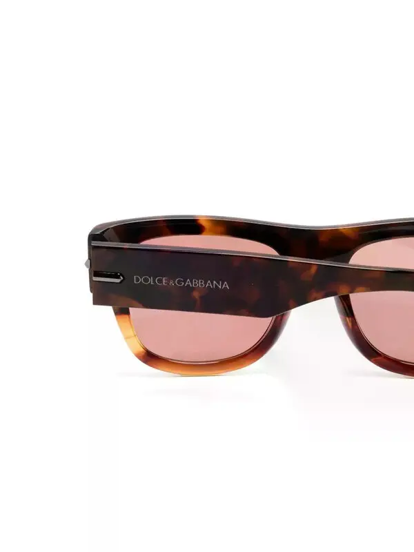 Dolce & Gabbana Dg Signature Sunglasses - Brown