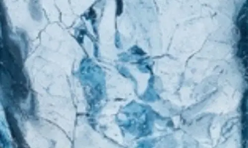 KOSTA BODA Crackle Bowl