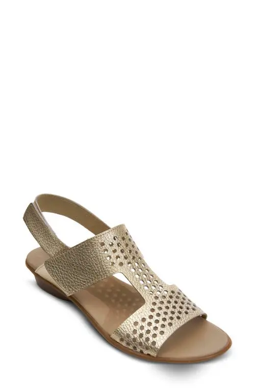 Sesto Meucci Elicia Slingback Sandal - Platino