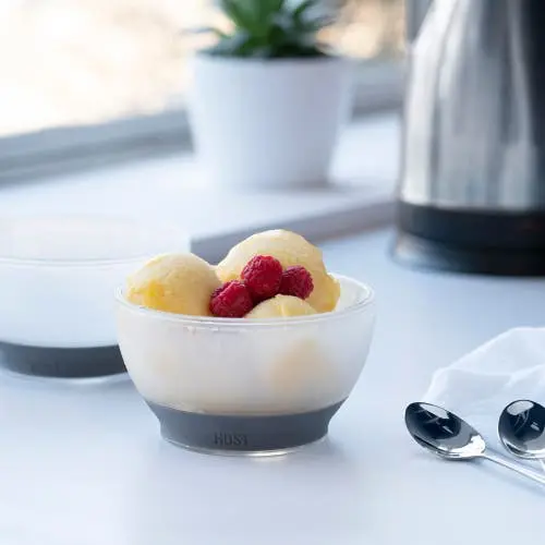 HOST Ice Cream Freeze Cooling Bowl Set Of 2