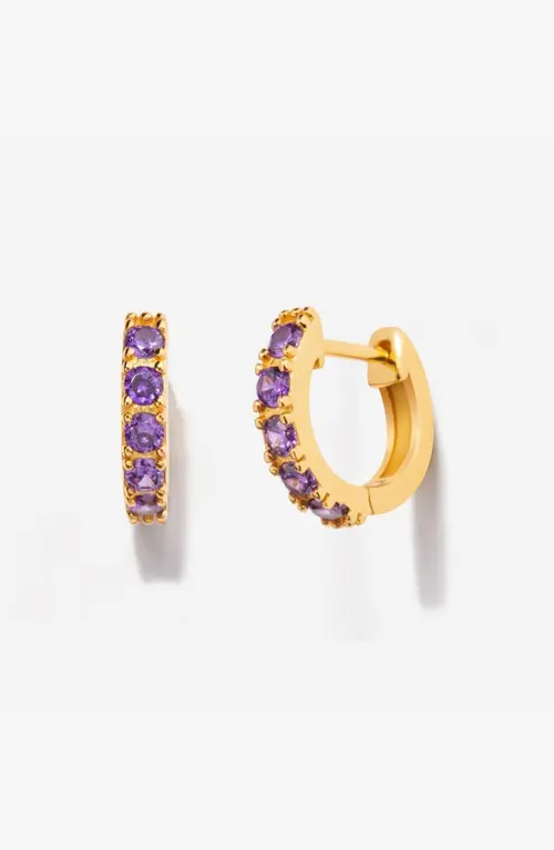 LITTLE SKY STONE 14k Gold Plated Huggie Earrings - Amethyst / February