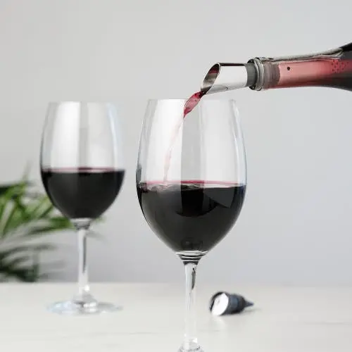HOST Filter Wine Pour Spout