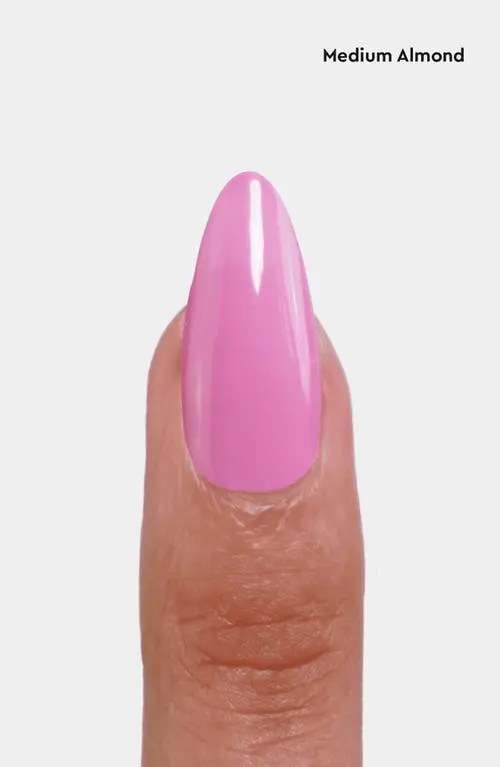 LE MINI MACARON Soft Gel Tips Nail Starter Kit - None