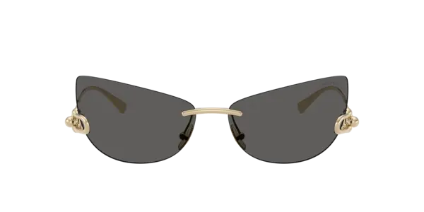 Tiffany & Co. Sunglasses