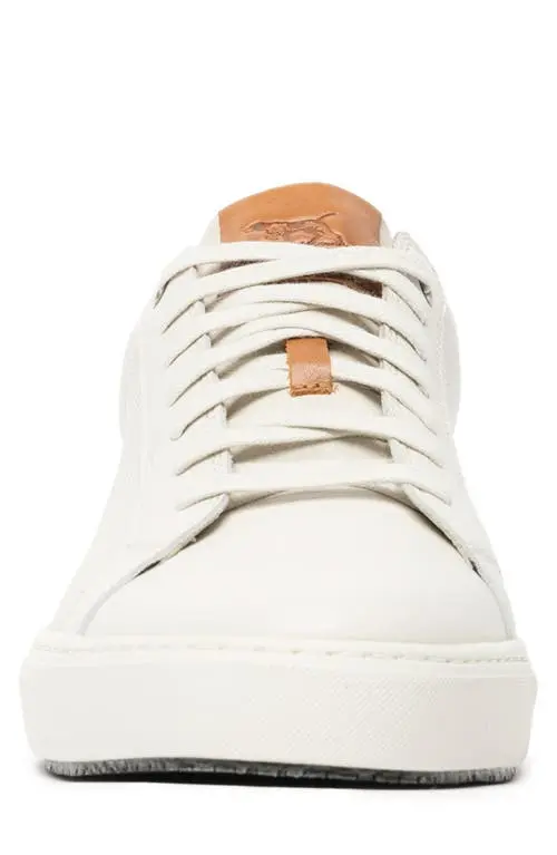 Rodd & Gunn Transit Sneaker - Chalk
