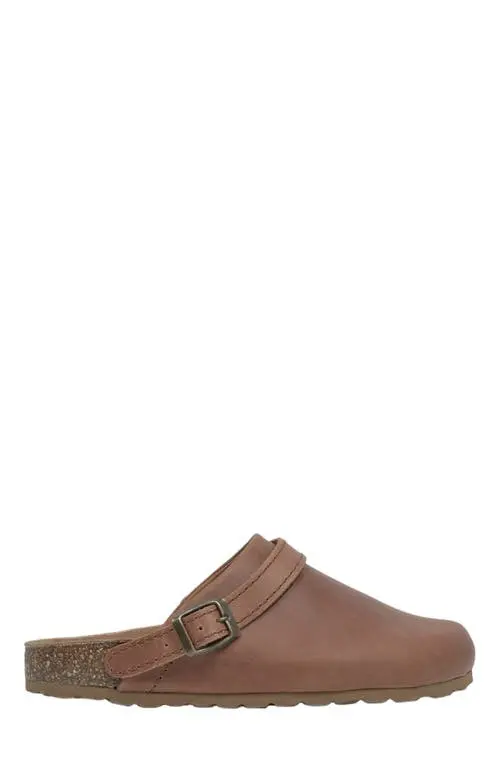 CELTIC & CO. Strap Detail Clogs