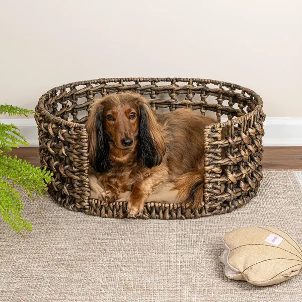 THE LICKER STORE Gigi 24" X 18" Modern Handwoven Hyacinth Open-weave Oval Pet Bed - Brown