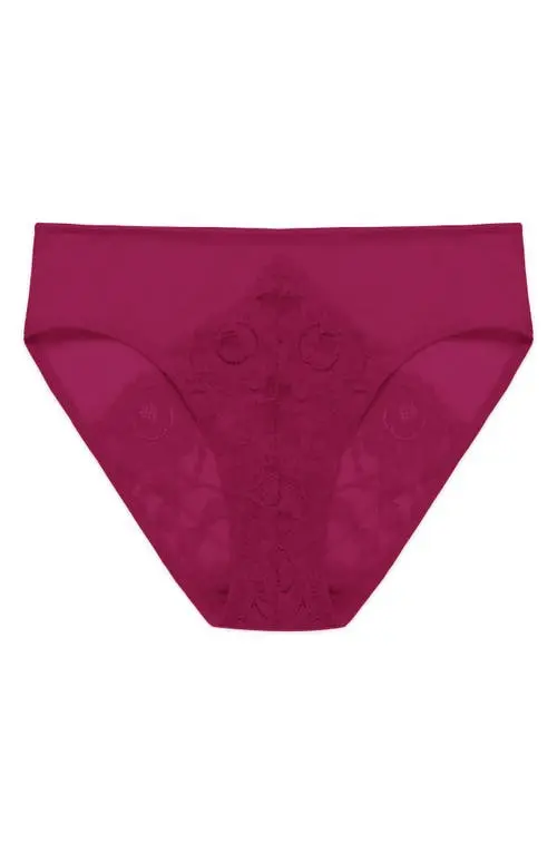 Natori Peony Lace & Mesh Hipster Panties