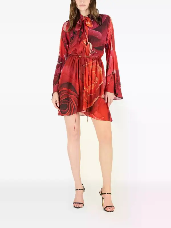 Roberto Cavalli Rose-print Mini Dress