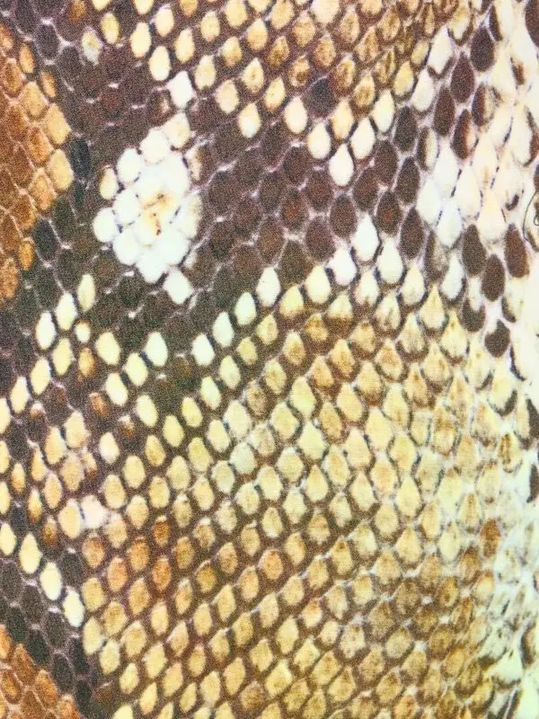 Roberto Cavalli - Roberto Cavalli Snake-Effect Pencil Skirt