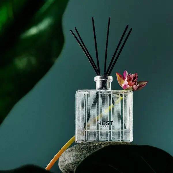 NEST NEW YORK Forest Rain Reed Diffuser, 5.9 Oz