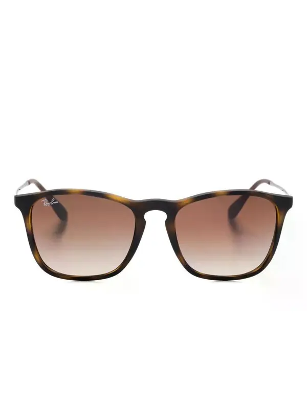 Ray-ban Chris Sunglasses - Brown