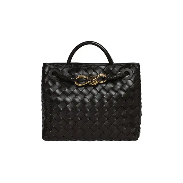 Bottega Veneta Small Andiamo Bag