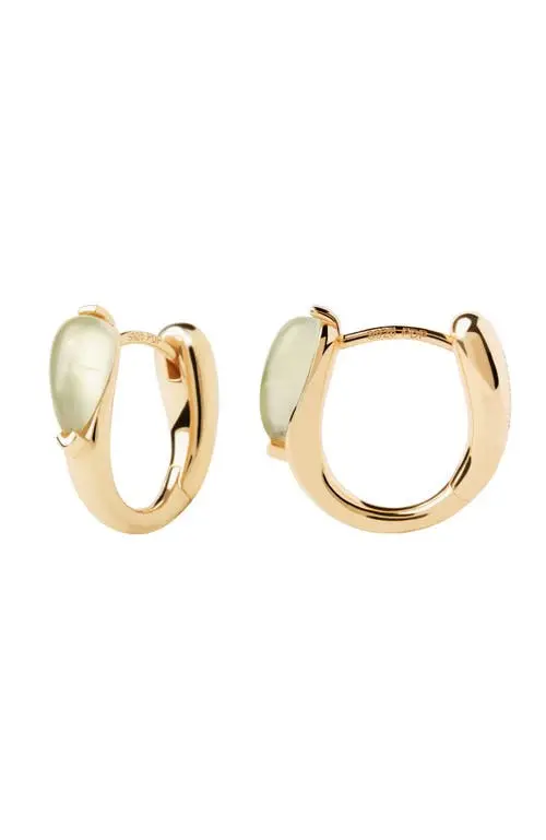 PDPAOLA Isla Hoop Earrings - Prehnite