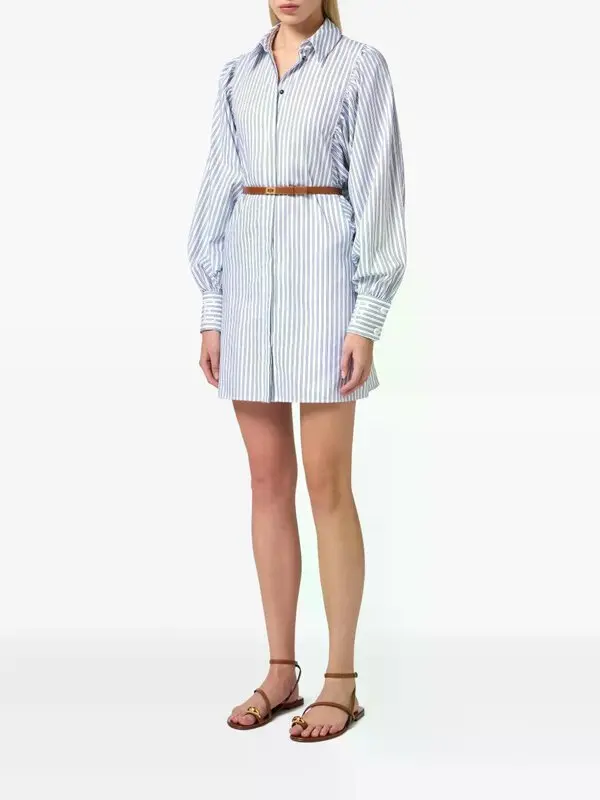 Elisabetta Franchi Striped Shirt Dress