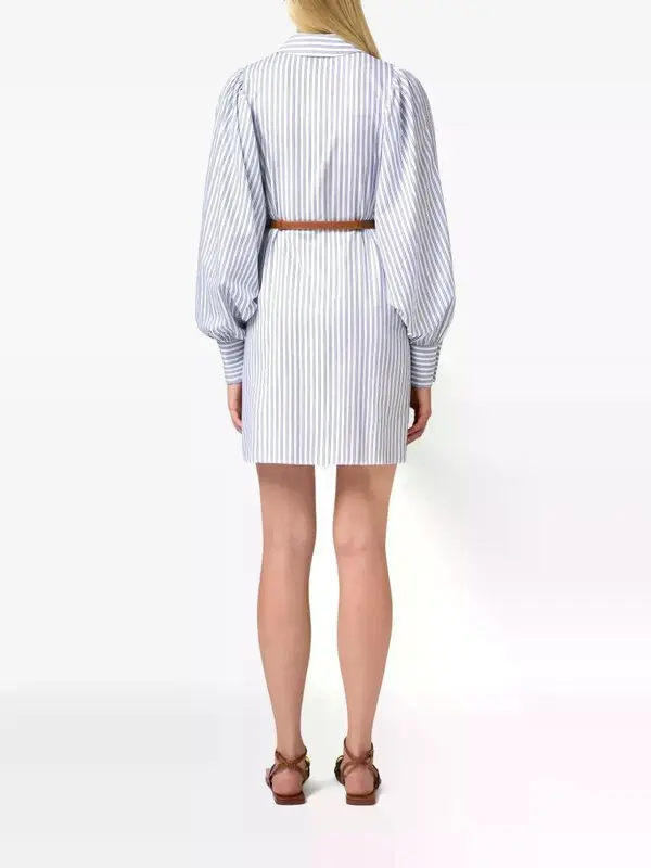 Elisabetta Franchi Striped Shirt Dress