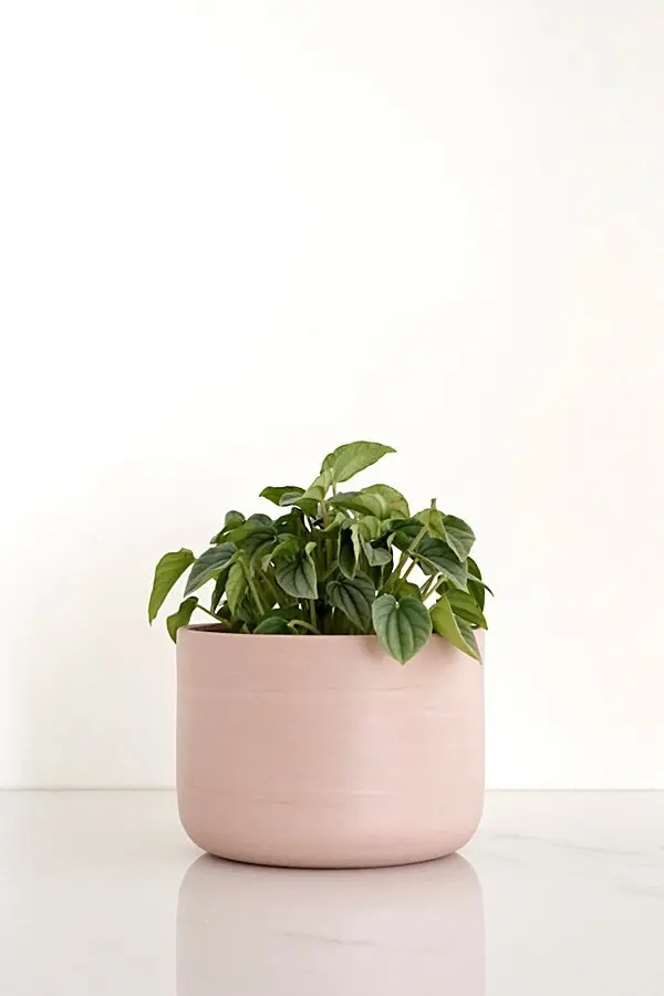 REN VOIS Terracotta Marble Planter