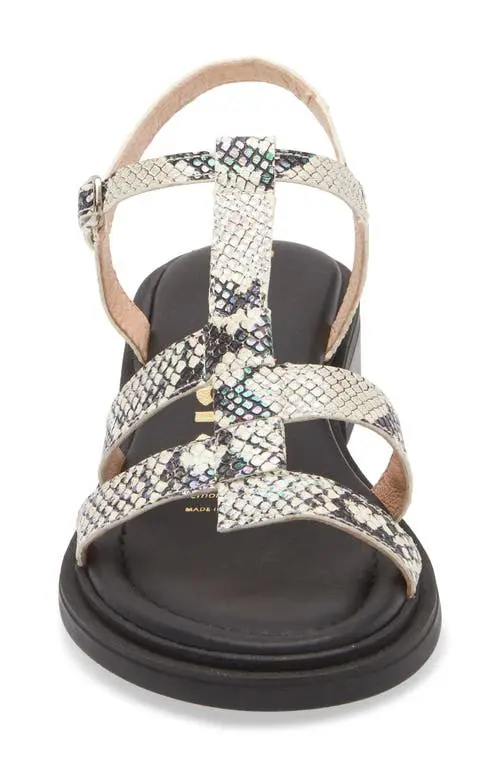WONDERS Janet Strappy Sandals - Snake Off White