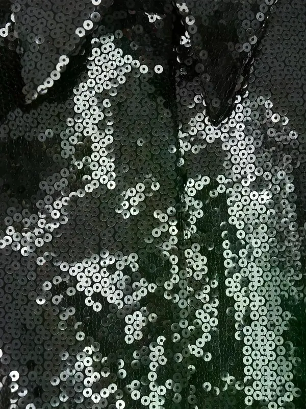 Alberta Ferretti Sequinned Shirt