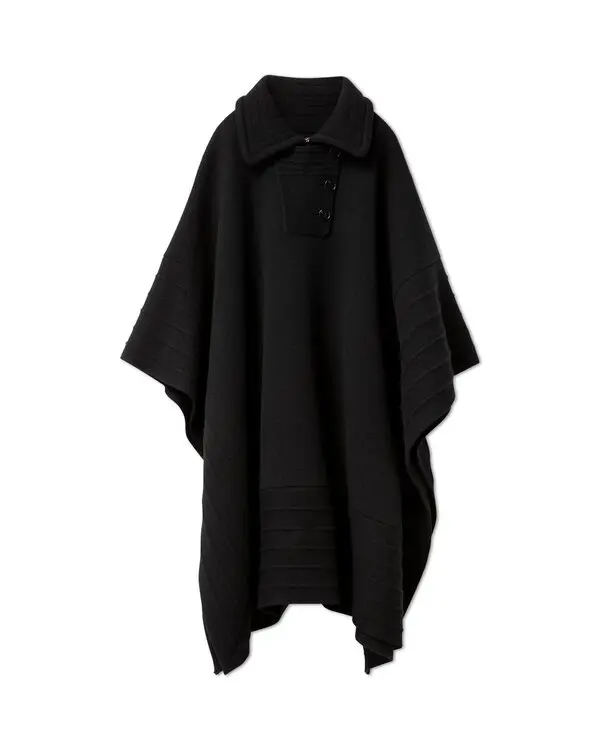 Veronica De Piante Francis Poncho
