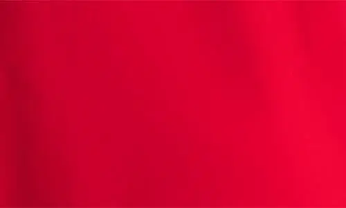 BOSS Side Stripe Swim Trunks - Medium Red