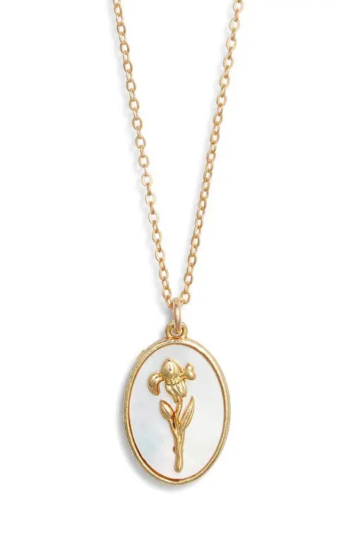 SET & STONES Katrina Birth Flower Pendant Necklace - Gold / February - Iris