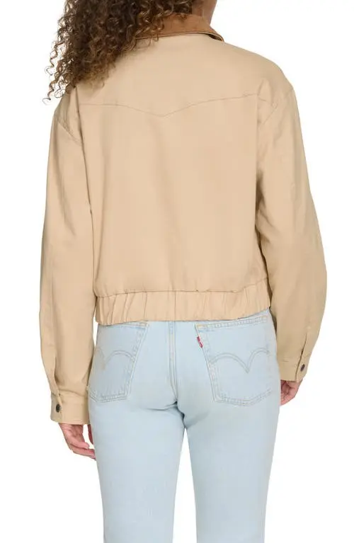 LEVI'S Cotton Bomber Jacket - Tan
