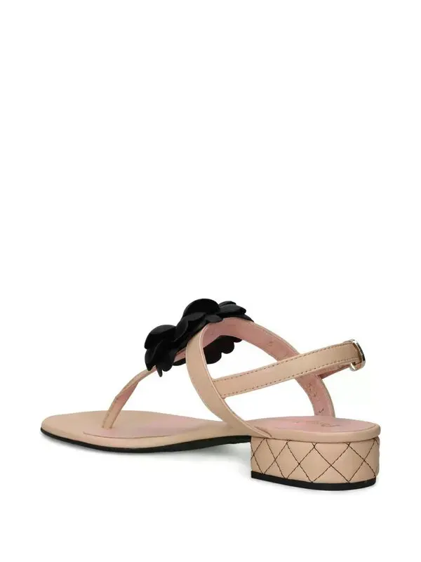Pretty Ballerinas 30mm Flower-detailing Sandals