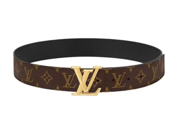 LOUIS VUITTON Pyramide 40mm Belt - Brown/gold