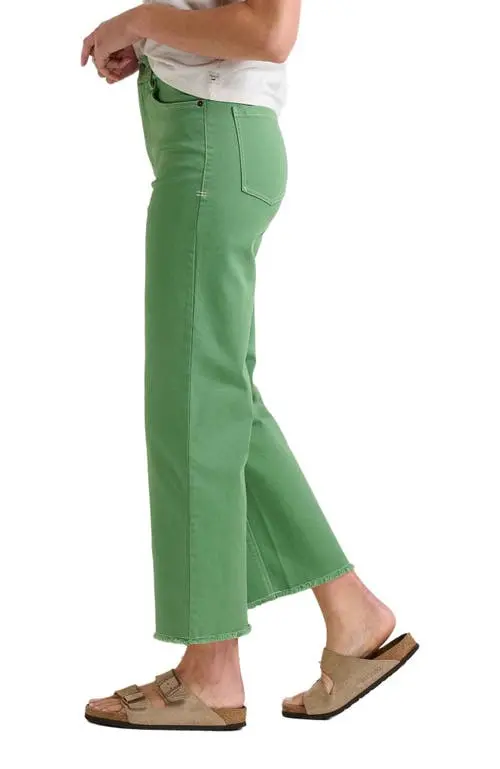 TOAD & CO Balsam Cutoff Pant - Evergreen
