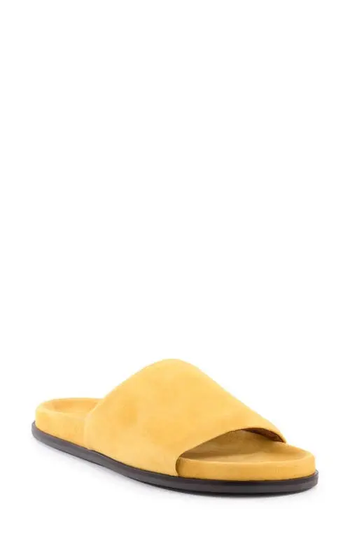 Seychelles Farrah Slide Sandal