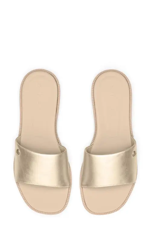 Reef Cushion Sunny Slide Sandal - Golden Hour