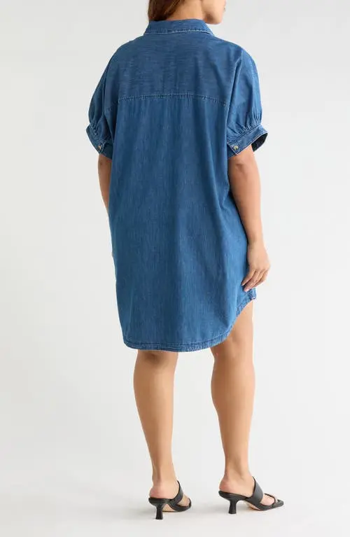 Treasure & Bond Chambray Polo Shift Dress