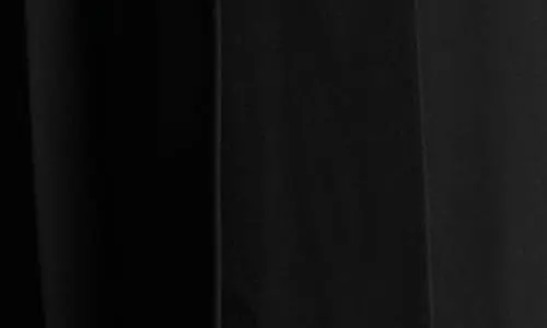 Naked Wardrobe Pleated Wide Leg Pants - Black