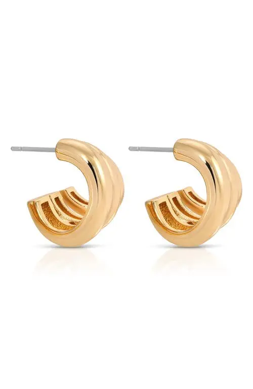 Ettika Rooted Vines Small Hoop Earrings