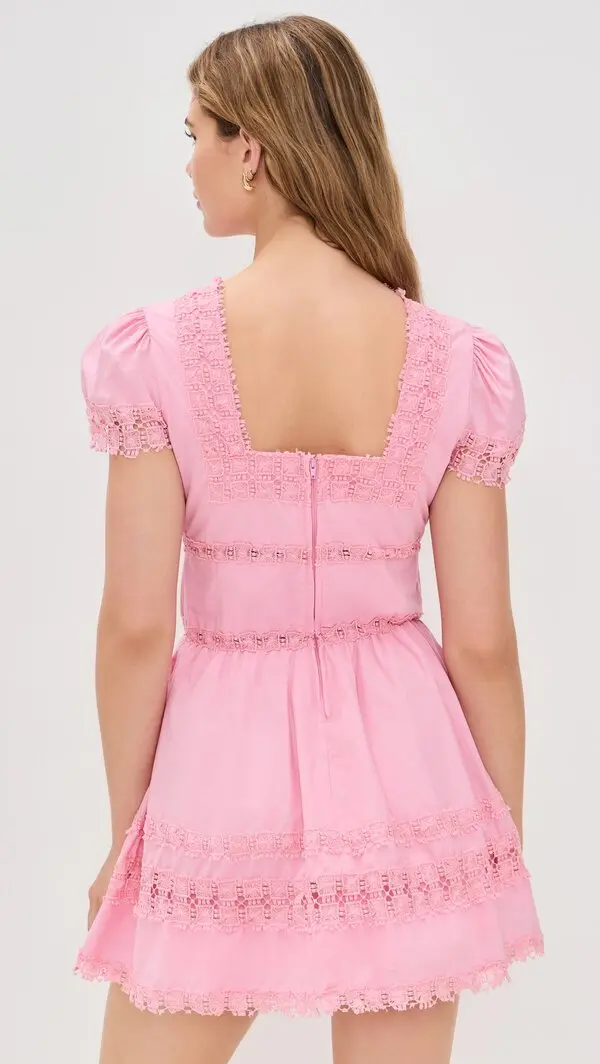 Peixoto Piper Mini Dress - Proper Pink