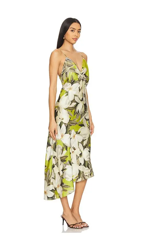 ALLSAINTS Alexia Floral Dress