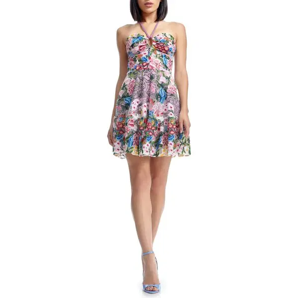 Dress The Population Trixie Floral Embroidered Mini Dress - Blush Multi