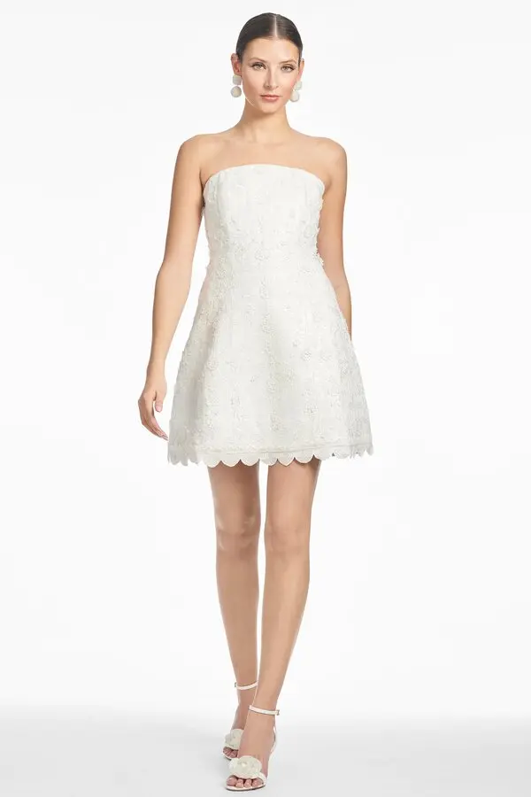 Sachin & Babi Alanna Embellished Lace Fit And Flare Dress - Ivory