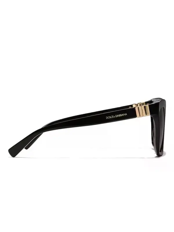 Dolce & Gabbana Dg Hinge Sunglasses