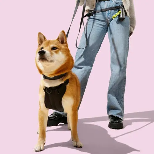 THE LICKER STORE Arlo Adjustable Soft Padded No Pull Pet Harness With 3 Buckles And 3 Leash Clips - Black