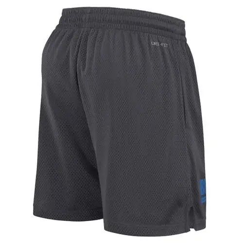 JORDAN BRAND Ucla Bruins 2024 Sideline Performance Mesh Shorts