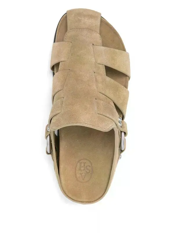 Ash Terry Mules