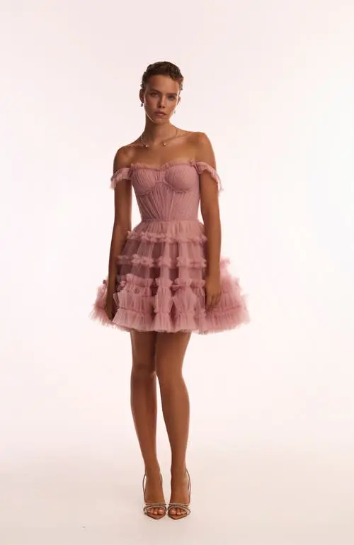 MILLA Flirty Ruffled Tulle Mini Dress