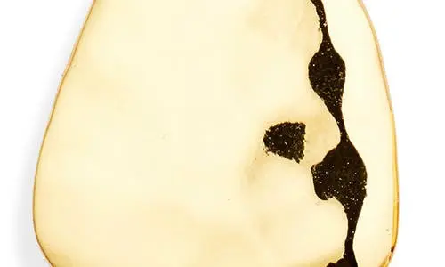 Lele Sadoughi Vera Drop Earrings