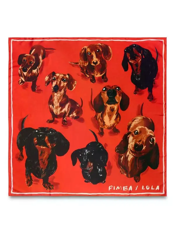 Bimba Y Lola Dog-print Scarf - Red