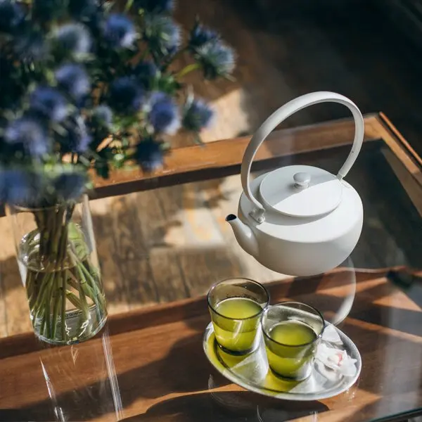 BALMUDA Moonkettle Electric Kettle