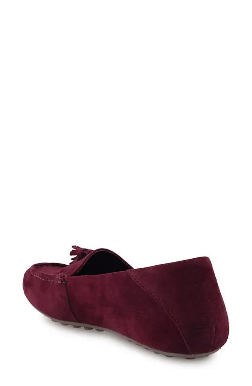 ARTISAN CRAFTED BY ZIGI Patsy Tassel Loafer - Wine